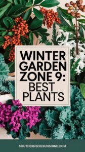 Winter Gardening in Zone 9: Best Plants for Cold Months - Southern Soil ...